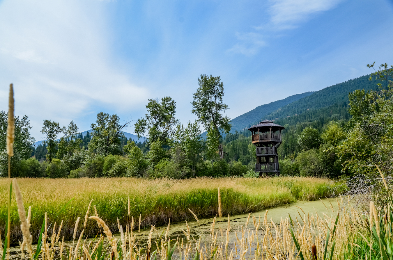 Colossal Things to See & Do in the Kootenays – Kootenay Rockies