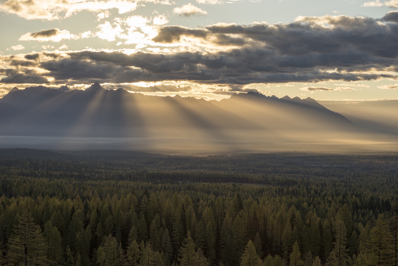 Where to Learn More About the Ktunaxa’s Rich History – Kootenay Rockies