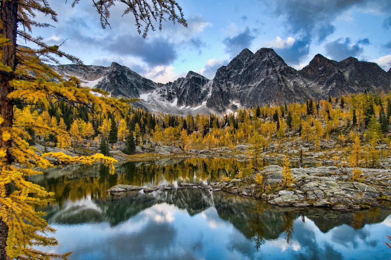 Little Known Fall Secret: Larch Tree Golden Transformation – Kootenay ...
