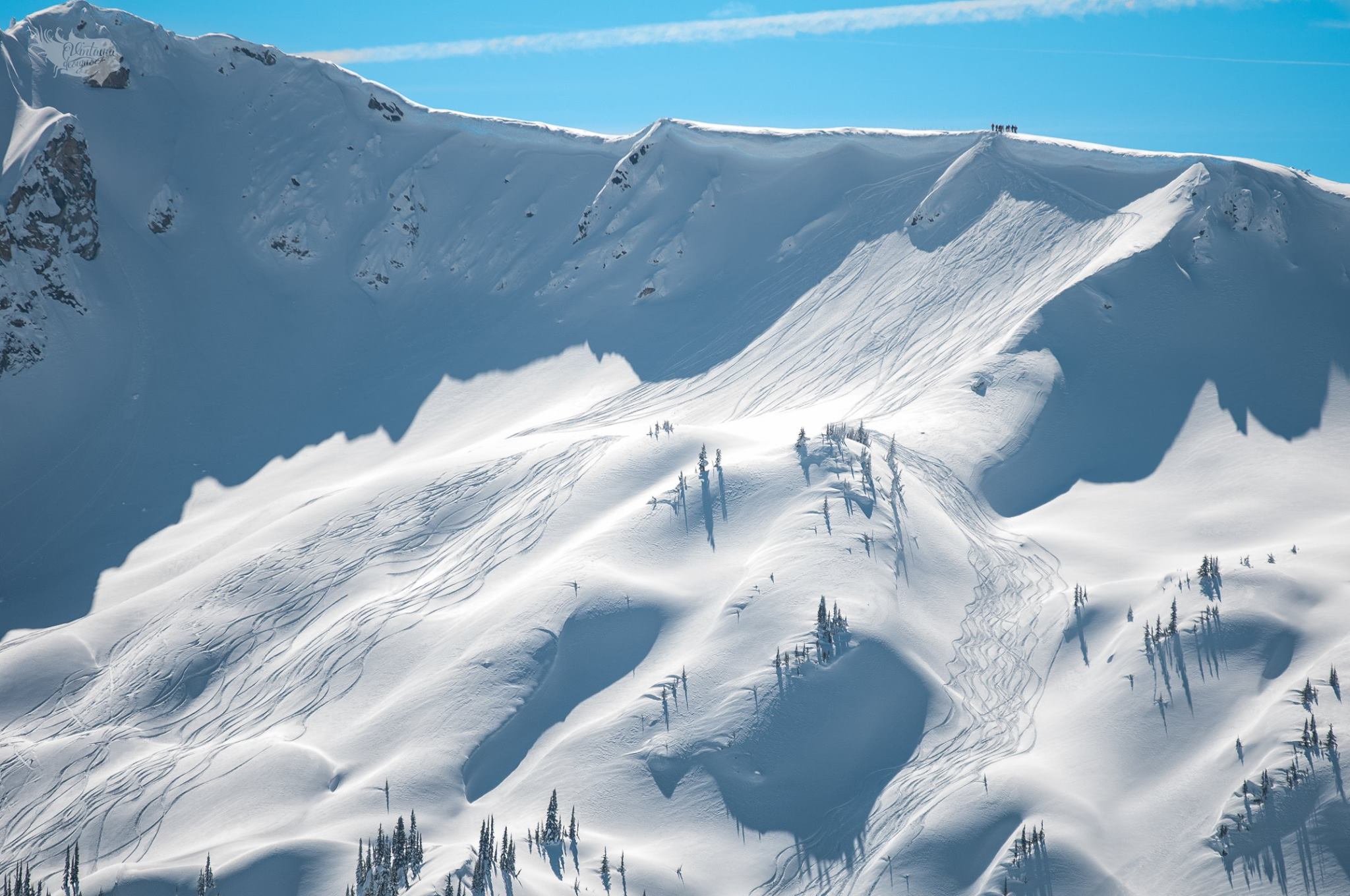 Up the Ante: Powder Highway Cat & Heli Day Packages – Kootenay Rockies
