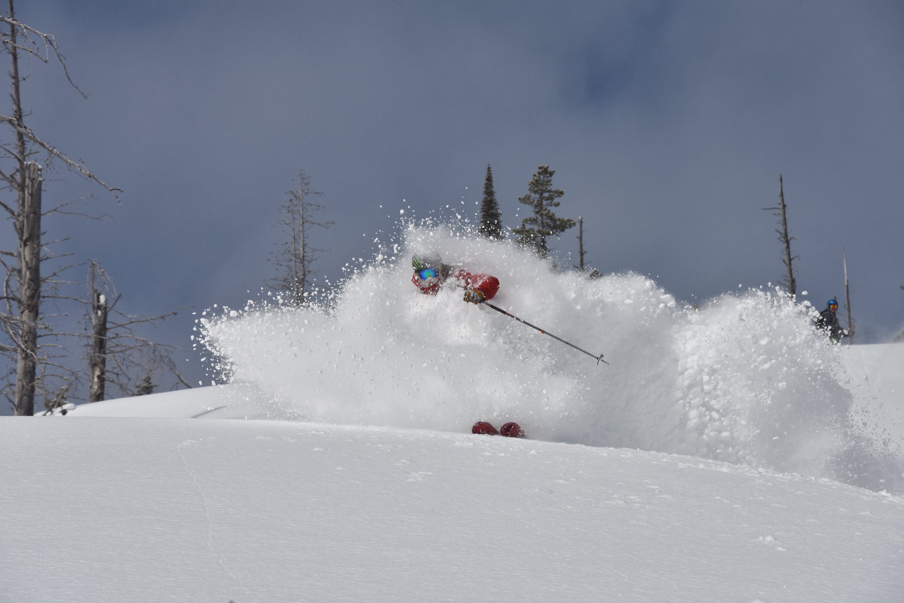 Up the Ante: Powder Highway Cat & Heli Day Packages – Kootenay Rockies