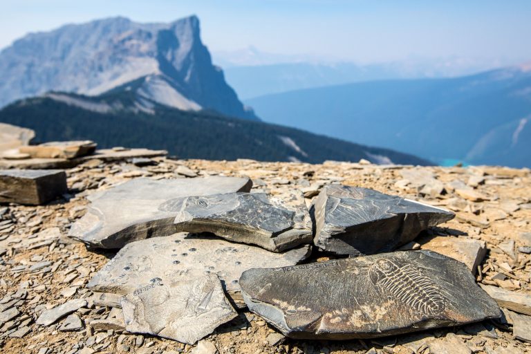 The Natural Wonders of the Kootenays – Kootenay Rockies