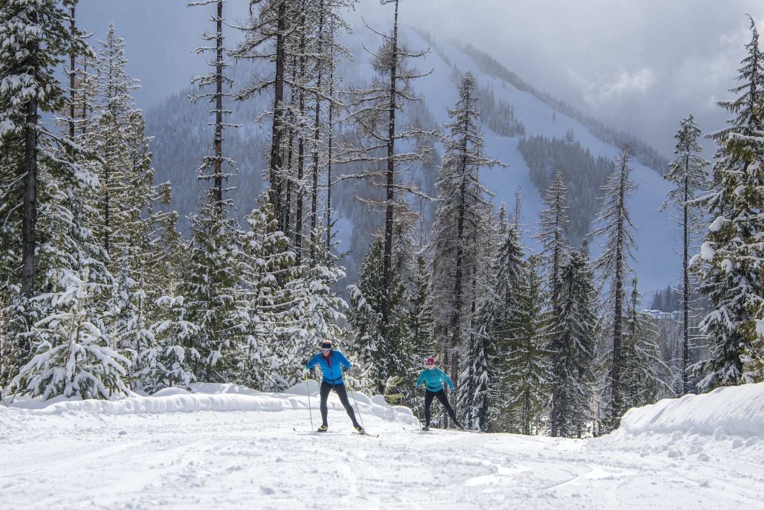 Nordic Ski Adventures & Events To Do this Winter – Kootenay Rockies