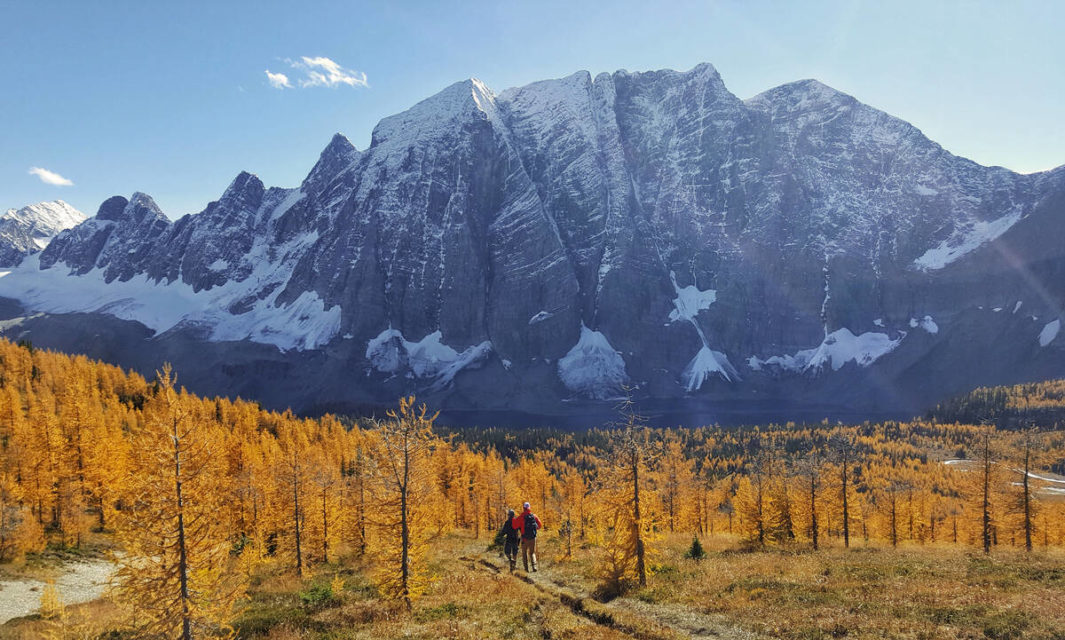Charting a Course for Adventure – Hiking the Rockwall Trail – Kootenay ...