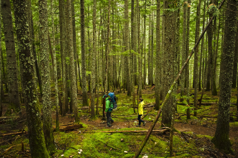 The Natural Wonders of the Kootenays – Kootenay Rockies